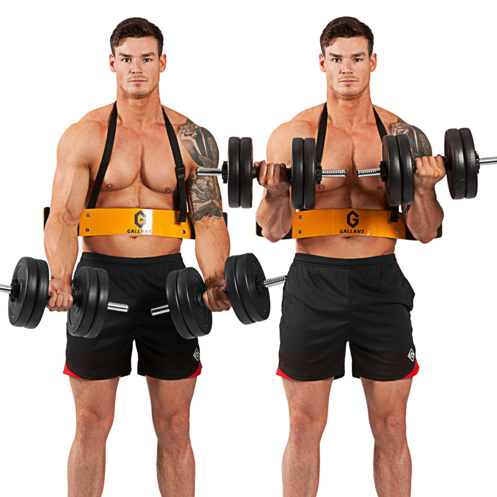 Arm Blaster - Physique Fitness Stores